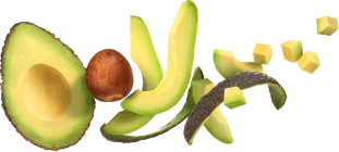 Contact Us – Magic Seeds